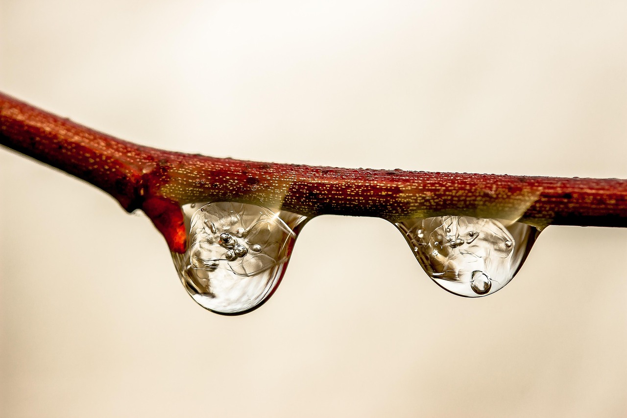 🌧️ The Ultimate Rainwater Guide: Smart Uses, Safety Tips & Surprising ...